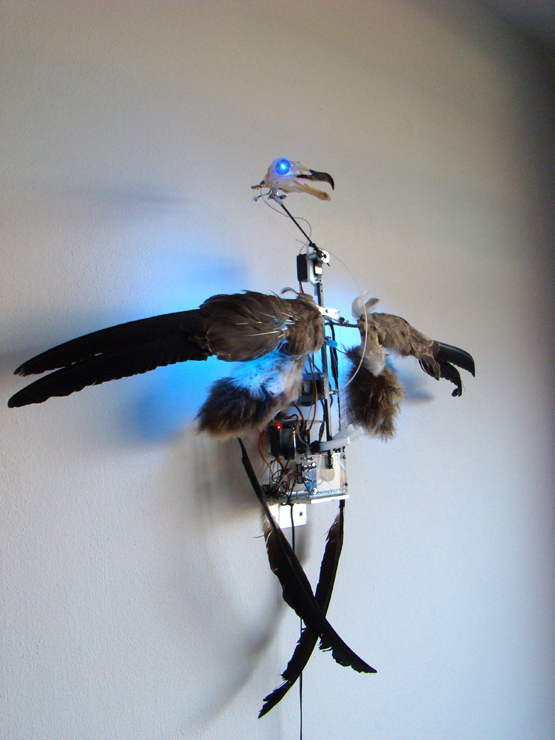 mean_bird_big – CONVENTO DE MÉRTOLA